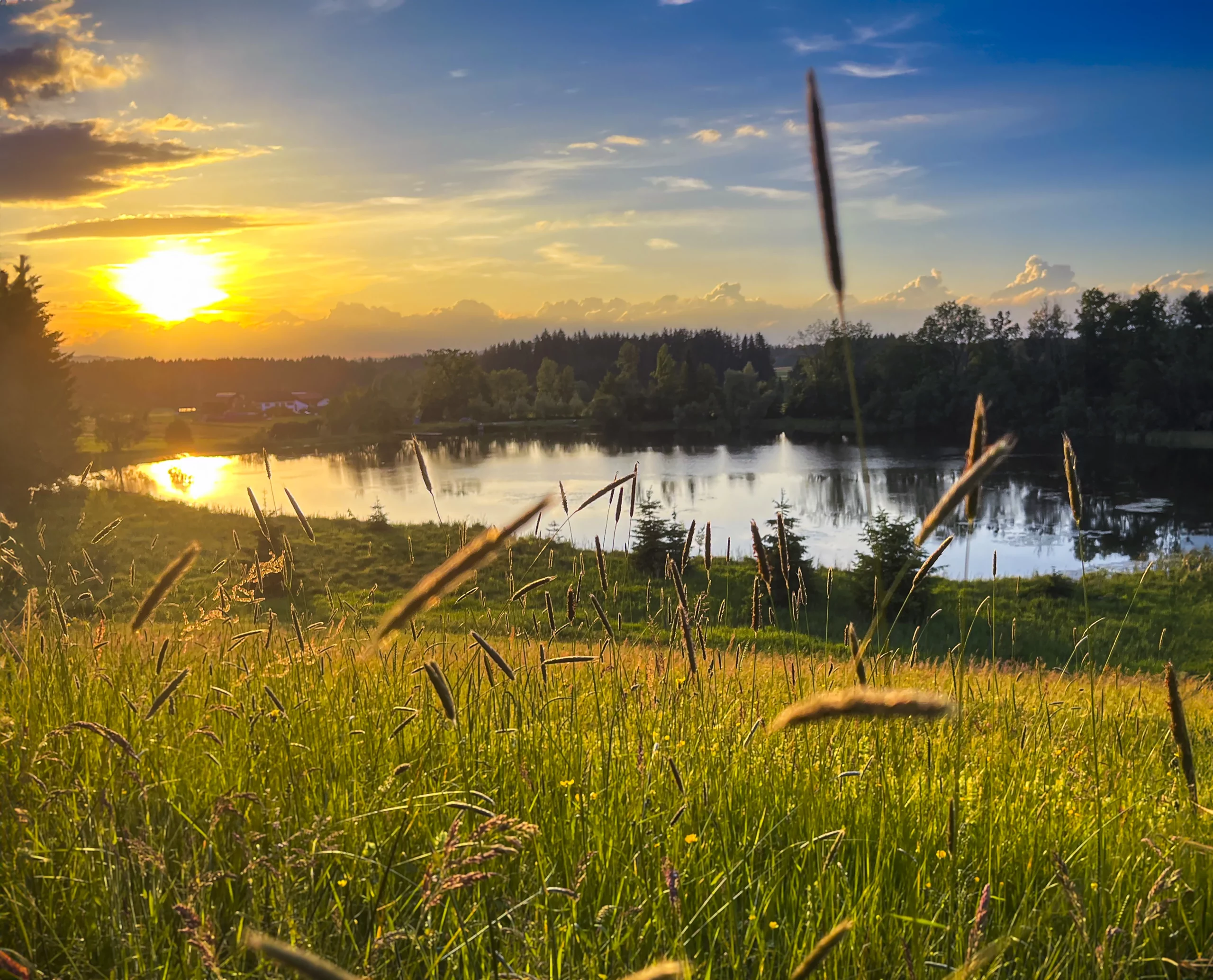 Infoabend und PVT-Webinar von Triple Solar